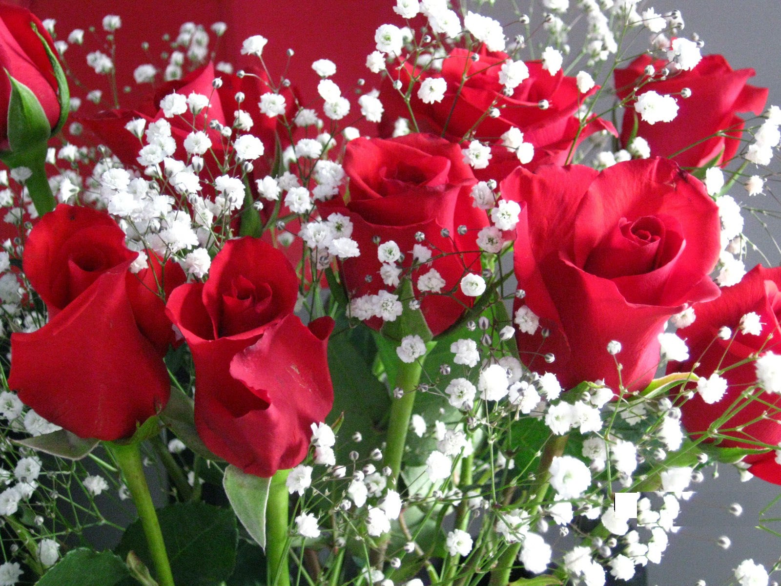 How To Pick Flowers For An Anniversary Anza Del Amo Florist